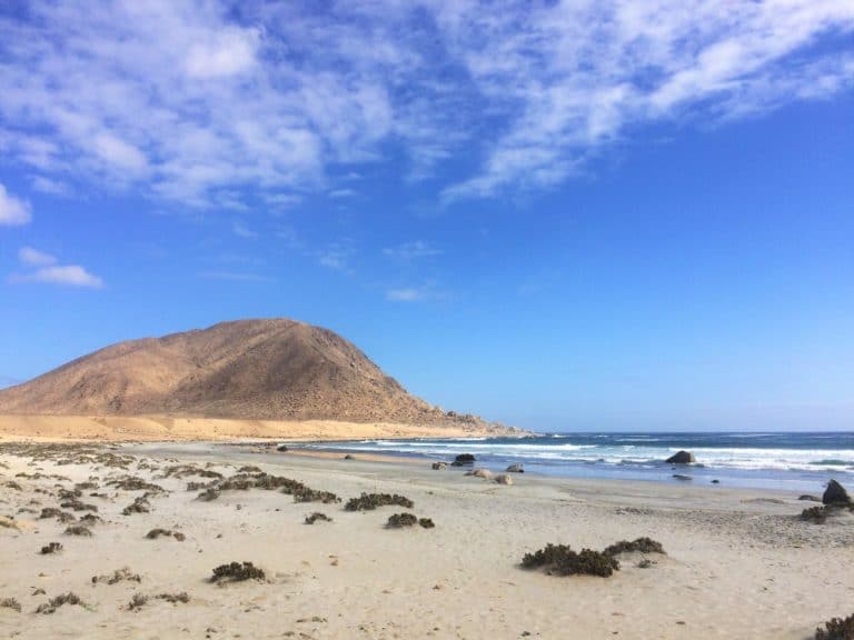 Essential Guide to Pan de Azúcar Park - Travel Coach Chile